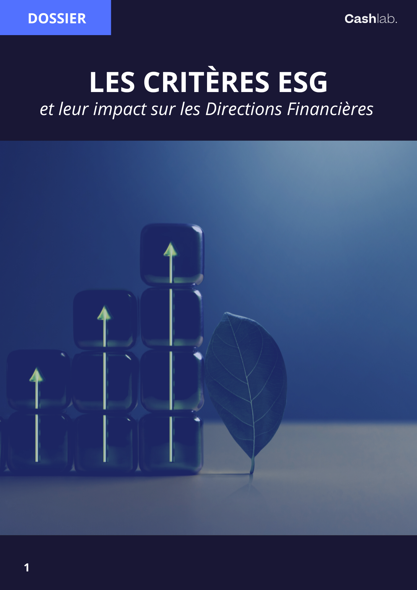 Critères ESG, impacts sur les directions financières - Dossier Cashlab