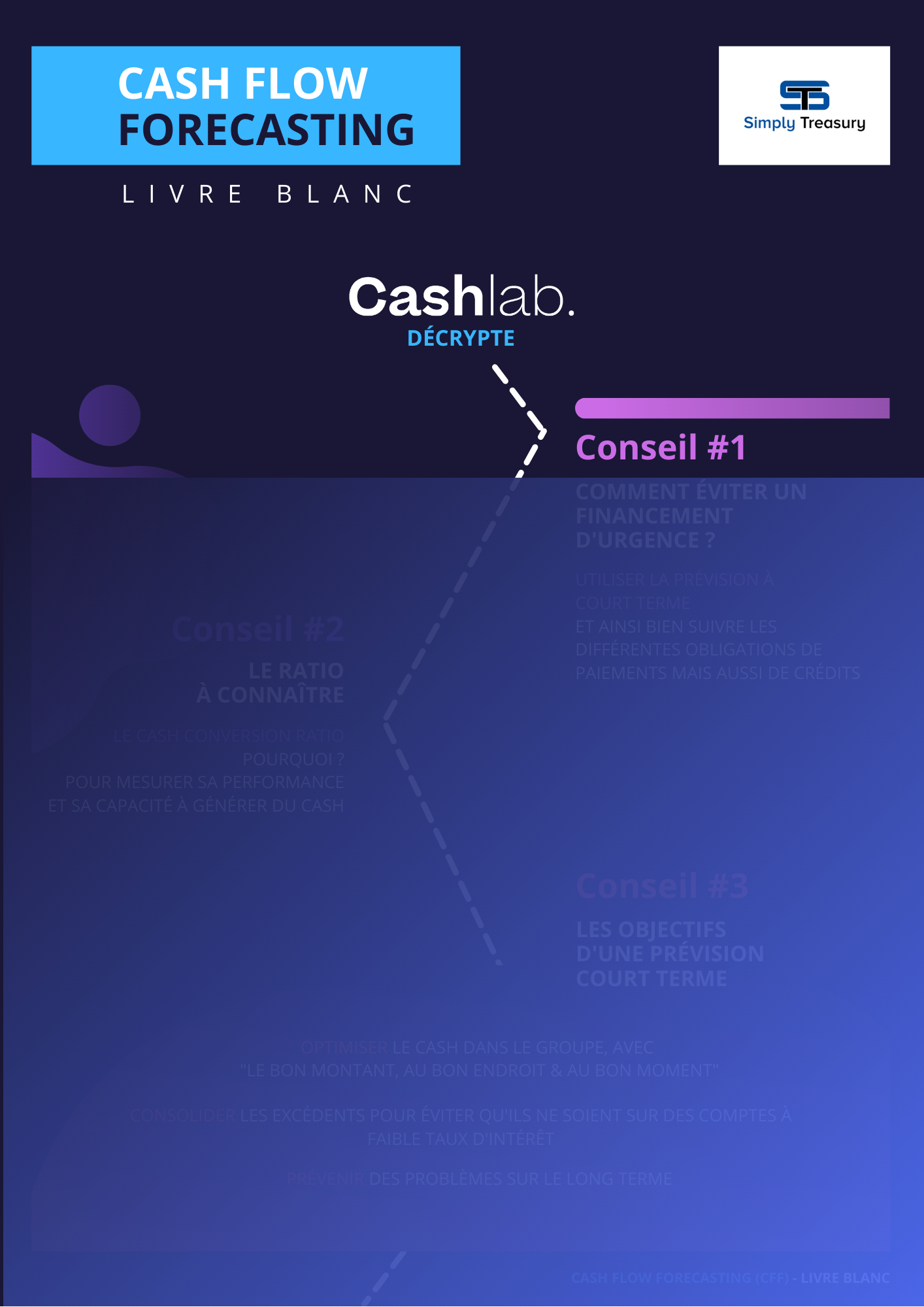 Infographie Cashlab - CashFlow Forecasting livre blanc Simply Treasury